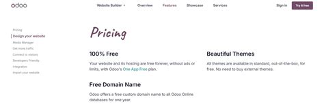 odoo website builder 2025 pros and cons features pricing and setup