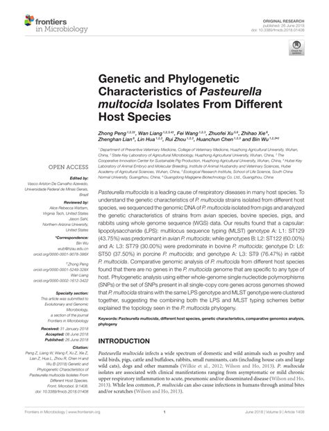 Pdf Genetic And Phylogenetic Characteristics Of Pasteurella Multocida Isolates From Different