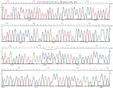 Megabase Sequencing Scaling Up For Genomics
