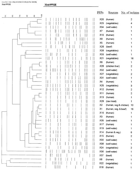 Dendrogram Showing The Results Of Cluster Analysis Of The Pfge Patterns