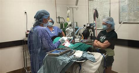 My Young Scientist Imgur