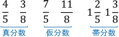 分数の基本と種類分子分母の概念と真分数仮分数帯分数 Hatsudy総合学習サイト