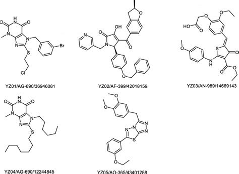 Five Hit To Leads As Brd4 1 Inhibitors Download Scientific Diagram