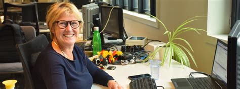 senior software engineer bmsvision