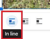 How to Add Captions to Images in Google Docs - GeeksforGeeks