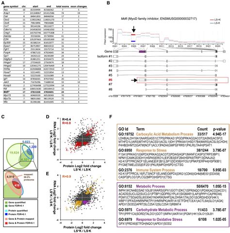Transcriptome Wide Profiling And Posttranscriptional Analysis Of Hematopoietic Stem Progenitor
