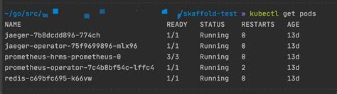 Unable To Run With Cloud Code Kubernetes Issue GoogleCloudPlatform Cloud Code
