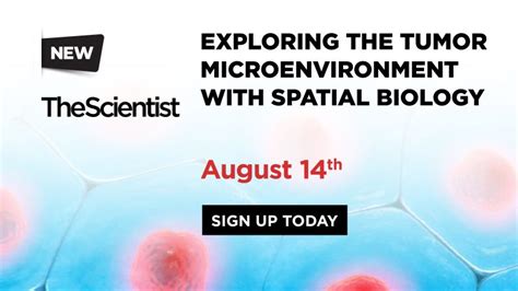 The Scientist On Linkedin The Tumor Microenvironment Is Always