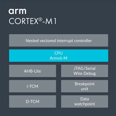 پردازنده arm cortex m1 miccube