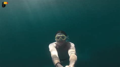 Nadando Con Animales Asombrosos En Español