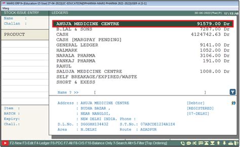 How To Create Stock Issue Entry Of Sample Goods In Marg Software