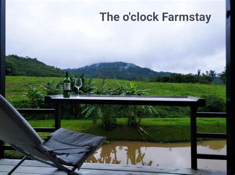The Oclock Farmstay Khaokor Khao Kho Precios Actualizados 2025