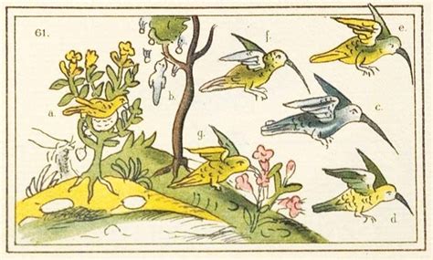 Aztec Hummingbirds Illustration With Plants And Flowers Antique