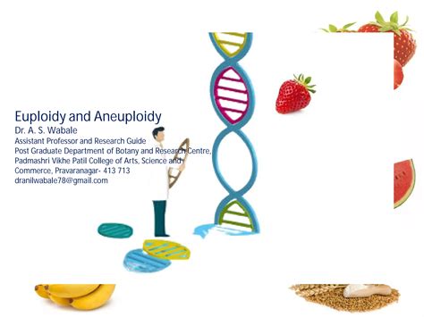 Euploidy And Aneuploidy Pdf