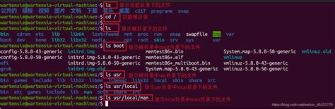 Linux 系统目录结构介绍linux的目录结构是什么 Csdn博客 Linux 系统目录结构介绍linux的目录结构是什么 Csdn博客