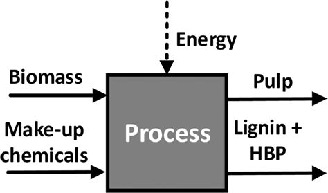 The Input Output Structure Of The Conceptual Process Download Scientific Diagram