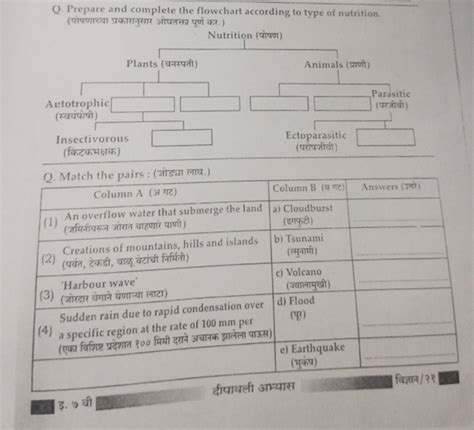 Q Prepare and complete the flowchart according to type of nutrition प
