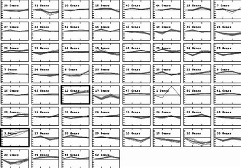 Clusters Of Gene Expression Generated By The K Means Algorithm The