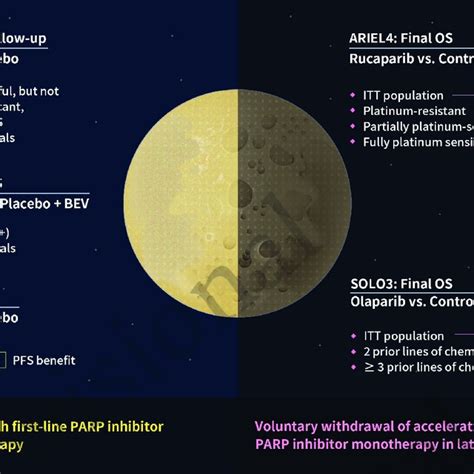 Sentinel Lymph Node Ultrastaging Protocol In The Sentix Trial Protocol Download Scientific
