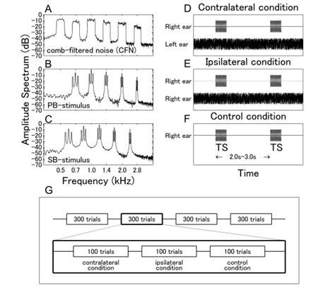 Stimuli And Experimental Design Amplitude Spectra Of The Auditory