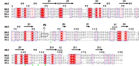 Secondary Structure Analysis Of Mlps Was Made By Espript Server Taking Download Scientific
