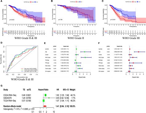 The Results Based On Tcga Rna Seq Database Showed That The High Download Scientific Diagram
