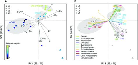 Microbial Community Structure A Principal Component Analysis Pca
