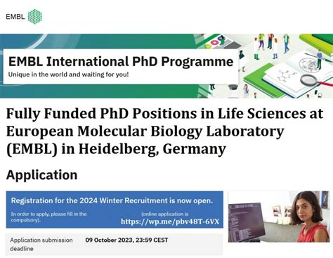 Israa Mohamed Posted On Linkedin