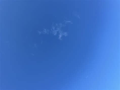 높은 여름 파란색 Pixabay의 무료 사진 Pixabay