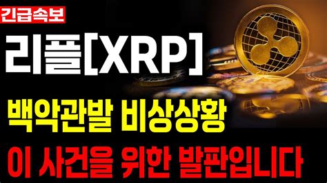 리플 전망 백악관발 비상사태 터졌습니다 빨리 보세요 Xrp 엑스알피 Xrpcoin 업비트시황 코인시황 급등코인추천
