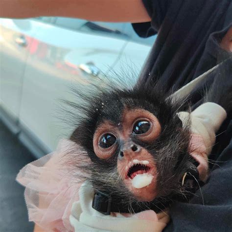 Evolution Contracting Added A New Evolution Contracting