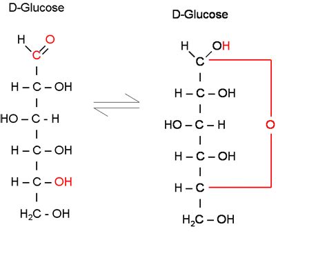 Glucose Bs Wiki Wissen Teilen