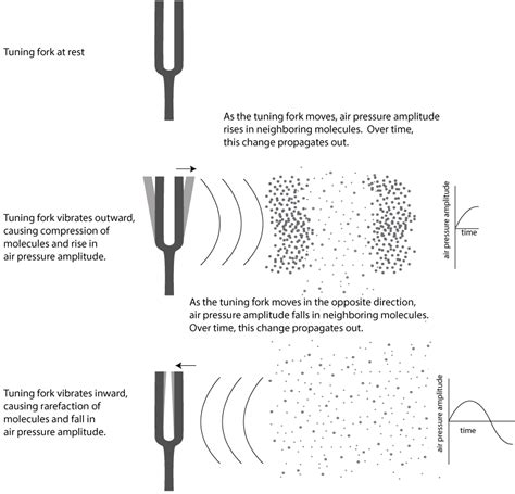 Acoustics When A Tuning Fork Is Struck How Does The Struck Tine Induce Vibrations In The