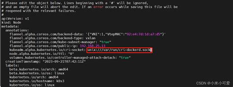 kubernetes1 24至1 25升级指南：部署cri docker与节点管理 csdn博客