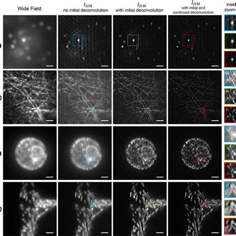 Pdf Optimal 2d Sim Reconstruction By Two Filtering Steps With Richardson Lucy Deconvolution