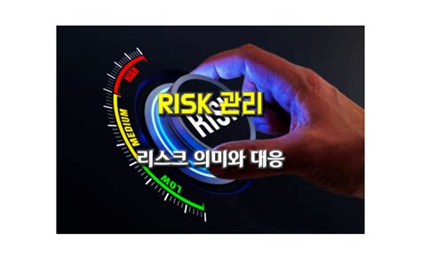 리스크 관리 리스크 의미와 대응