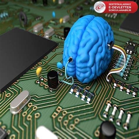 Python İle Uygulamali Yapay Zeka EĞİtİmİ Özel Türk Akademi