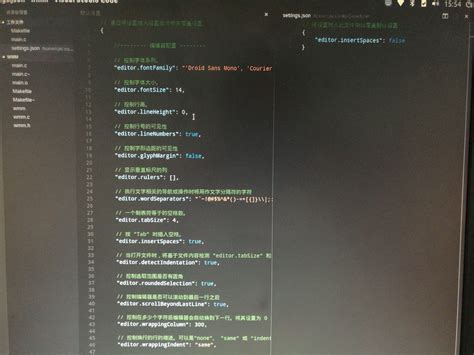 vscode或clion编辑器中写makefile，tab不能被make识别，如何配置？ 知乎