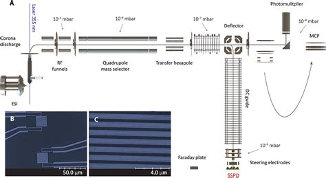 Superconducting Nanowires Detect Single Protein Ions