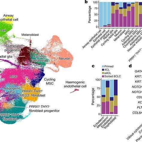 Scrna Seq Of Teratomas From 4cl Naive Pscs And 8clcs A Umap Of The Download Scientific Diagram
