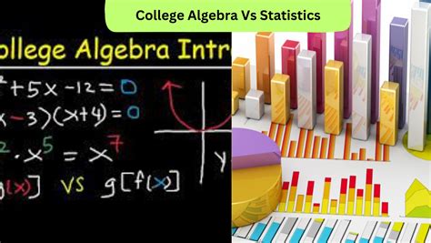 College Algebra Vs Statistics Guide To Graduate
