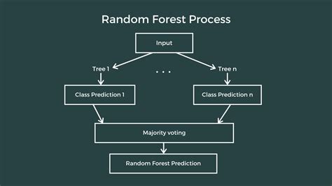 Random Forest Classifier The Click Reader