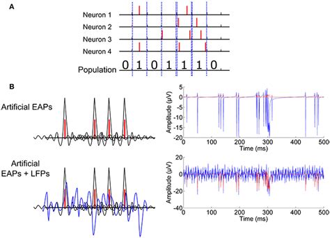 frontiers spectral entropy based neuronal network synchronization
