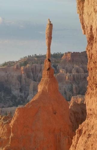 Iconic Bryce Canyon Hoodoo Rock Formation Falls Local News