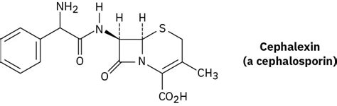 Ch 21 Chemistry Matters—β Lactam Antibiotics Organic Chemistry