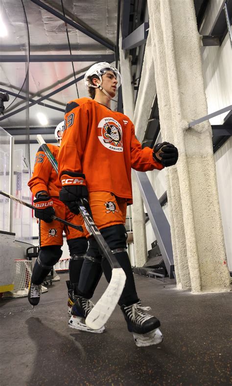 Chambly Émile Guité Un Duck Danaheim Le Journal De Chambly