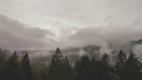 Atrapanieblas En Villa María Del Triunfo Gemra Pucp