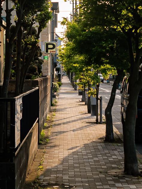 일본에서 사진찍는 유학생 신입 받아주세요 포텐 터짐 최신순 에펨코리아