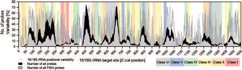 Figure 1 From Probebase—an Online Resource For Rrna Targeted Oligonucleotide Probes New