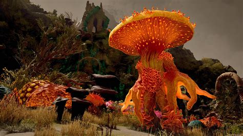 Which Avowed Background Choice Is Right For You Explained